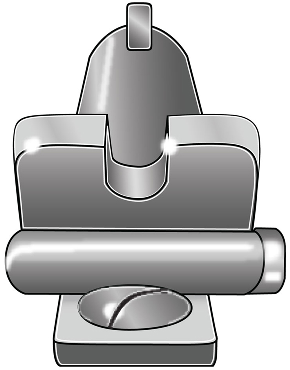 Adjusting Your Sight Adjusting Your Sight